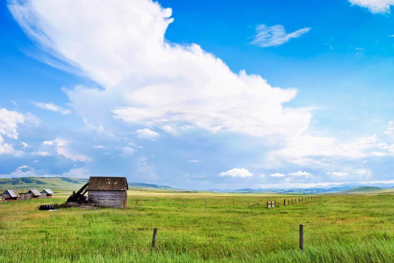 Hidden Toronto: John Cox cottage - NOW Magazine