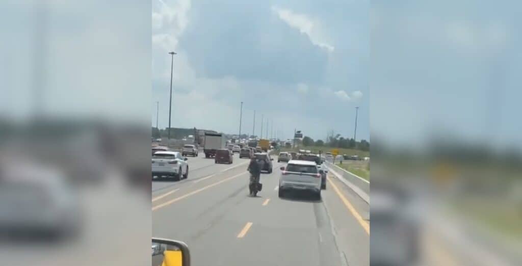 Video shows cyclist weaving through traffic on Hwy.401 in Toronto