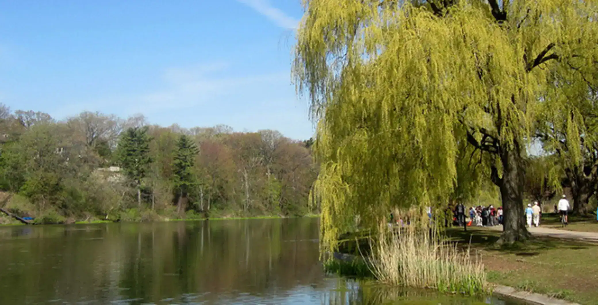 Toronto’s High Park to begin phased changes in August to improve ...
