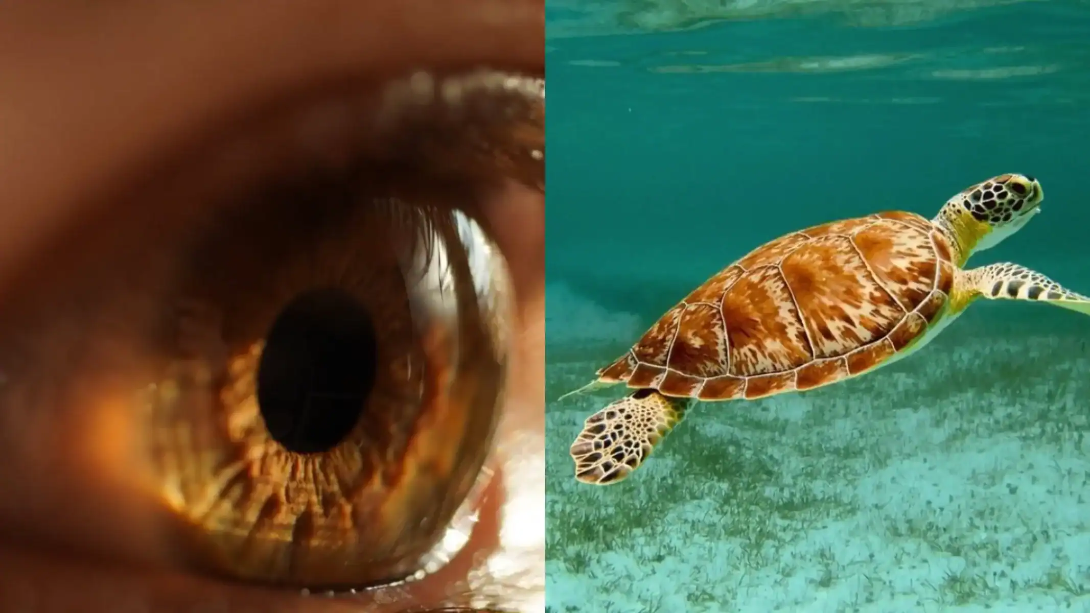 A solo photography exhibit in Toronto is raising awareness about ...