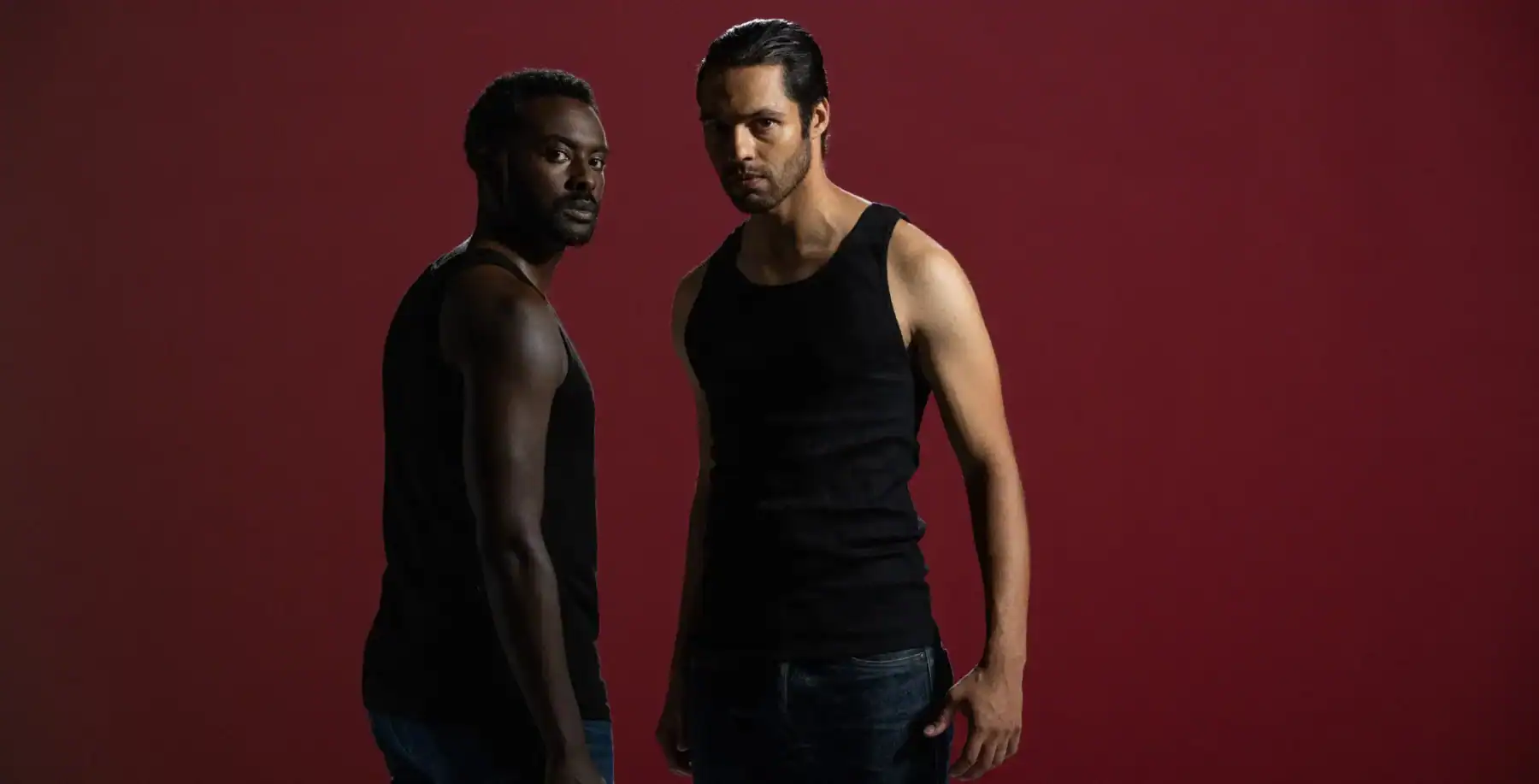 Review: The Library At Night is a handsome, glorified travel ad - NOW ...