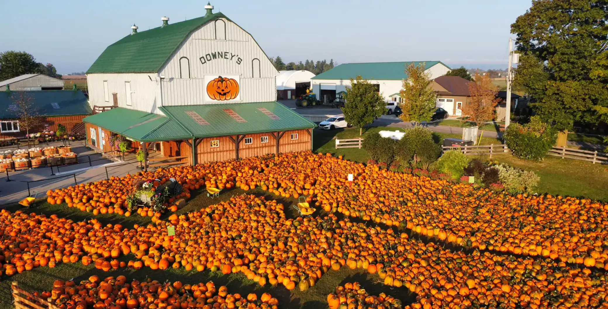 Find your perfect pumpkin at one of Canada’s top 20 pumpkin patches - NOW Toronto