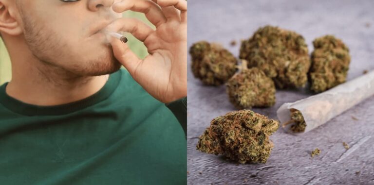 This is how cannabis use in Canada has changed since legalization