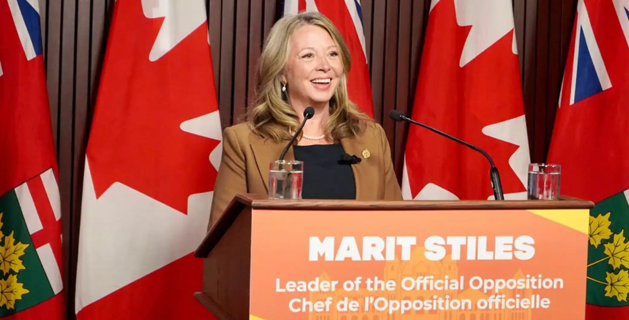 Two Ontario NDP riding associations call for review of Marit Stiles ...