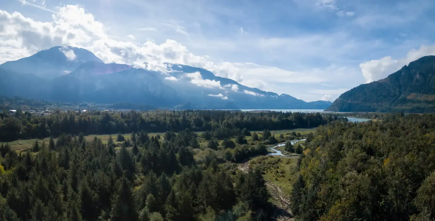 The best fall 2020 festivals and events in Toronto - NOW Magazine