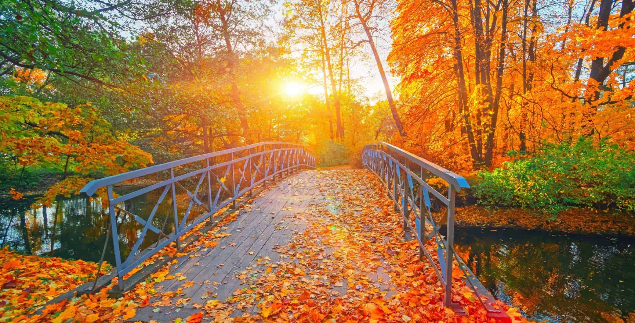 Some of the most picturesque places for a fall-inspired photoshoot