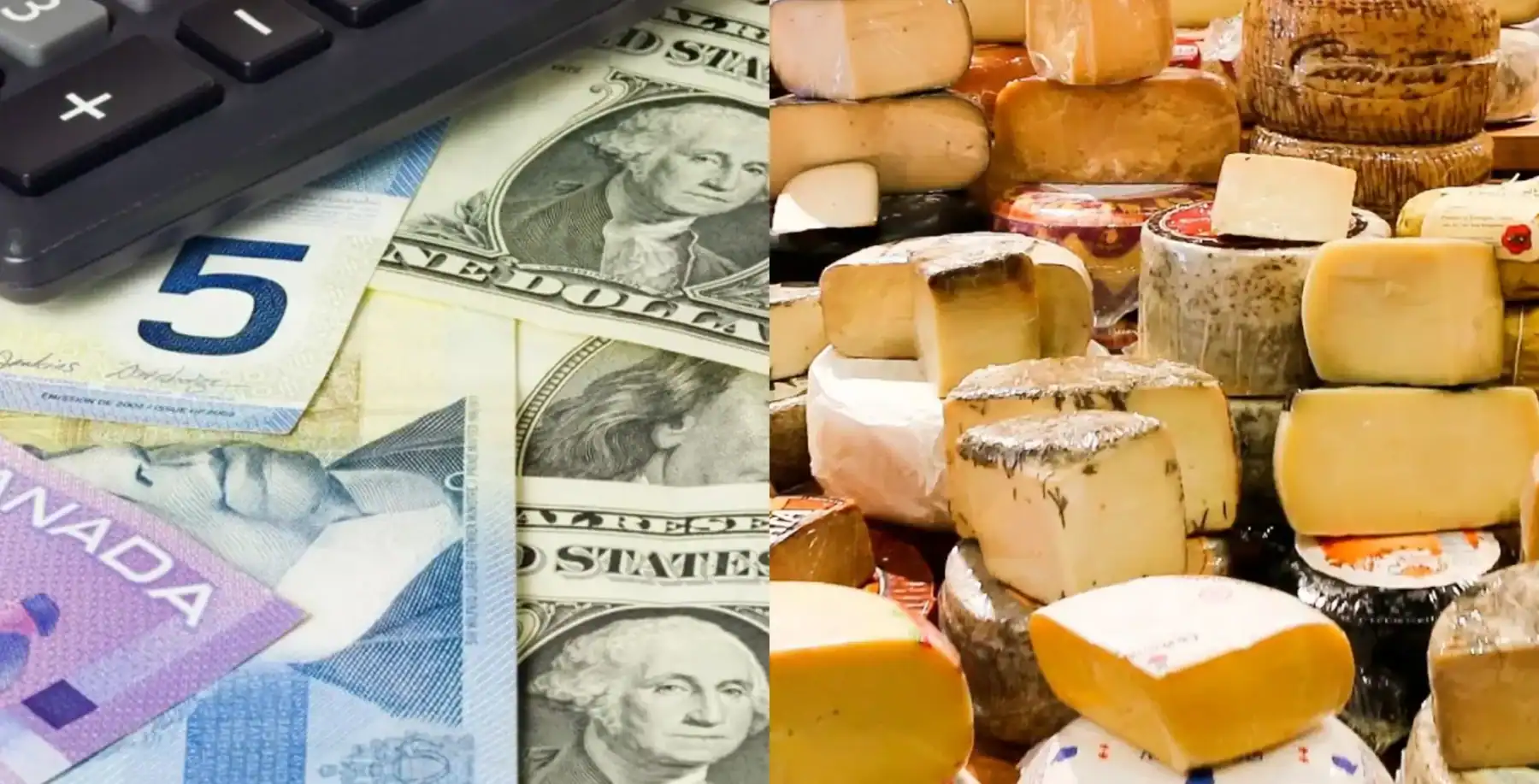 TIFF review: Mouthpiece - NOW Magazine