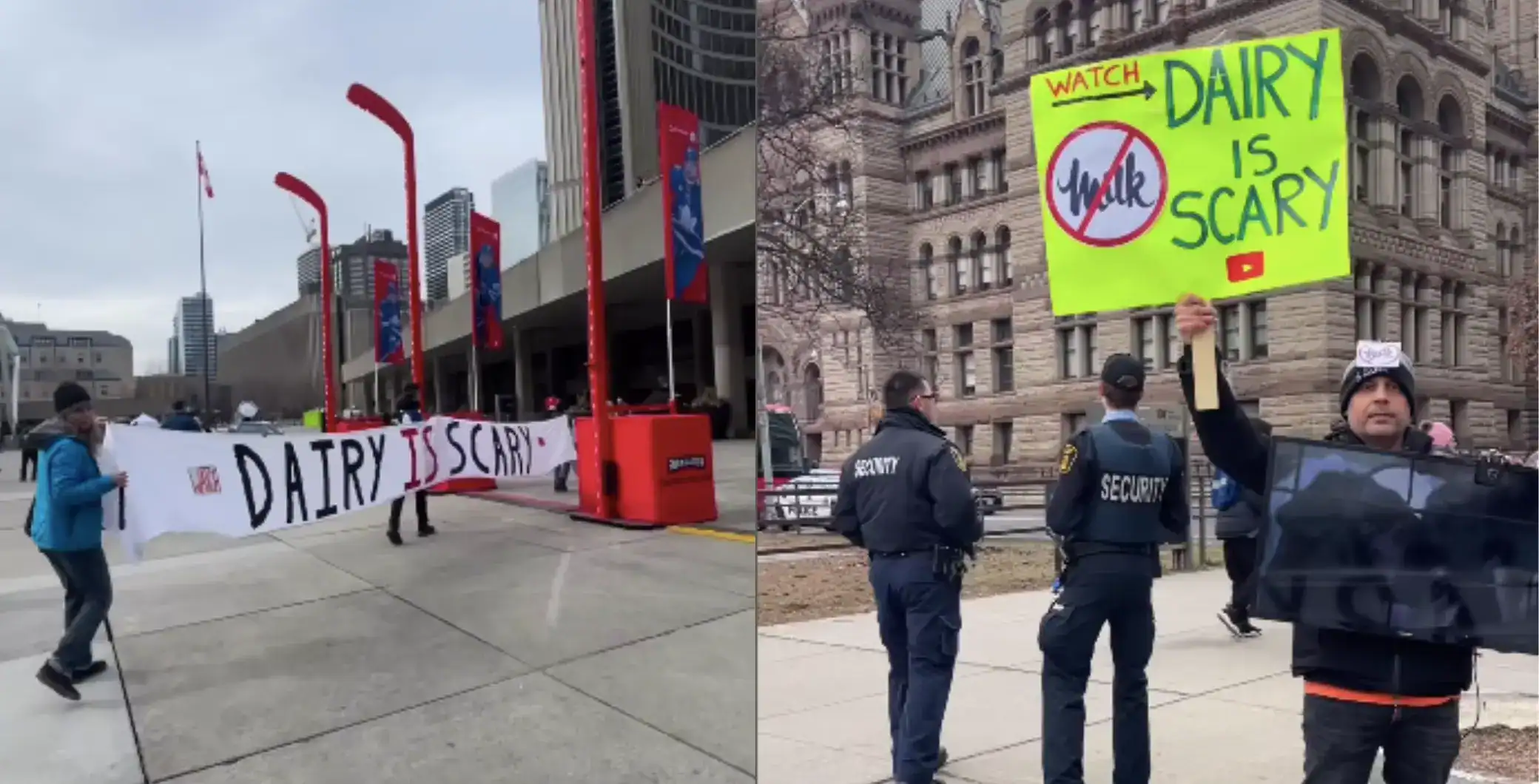 Anti-dairy protesters disrupt Toronto Maple Leafs’ outdoor practice ...