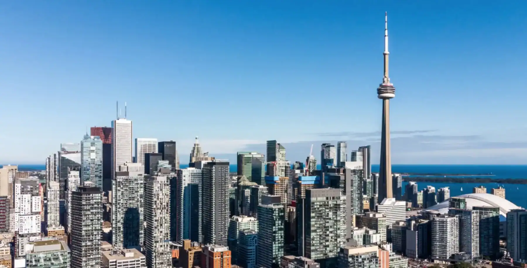 The 25 best TV shows of 2020 - NOW Magazine