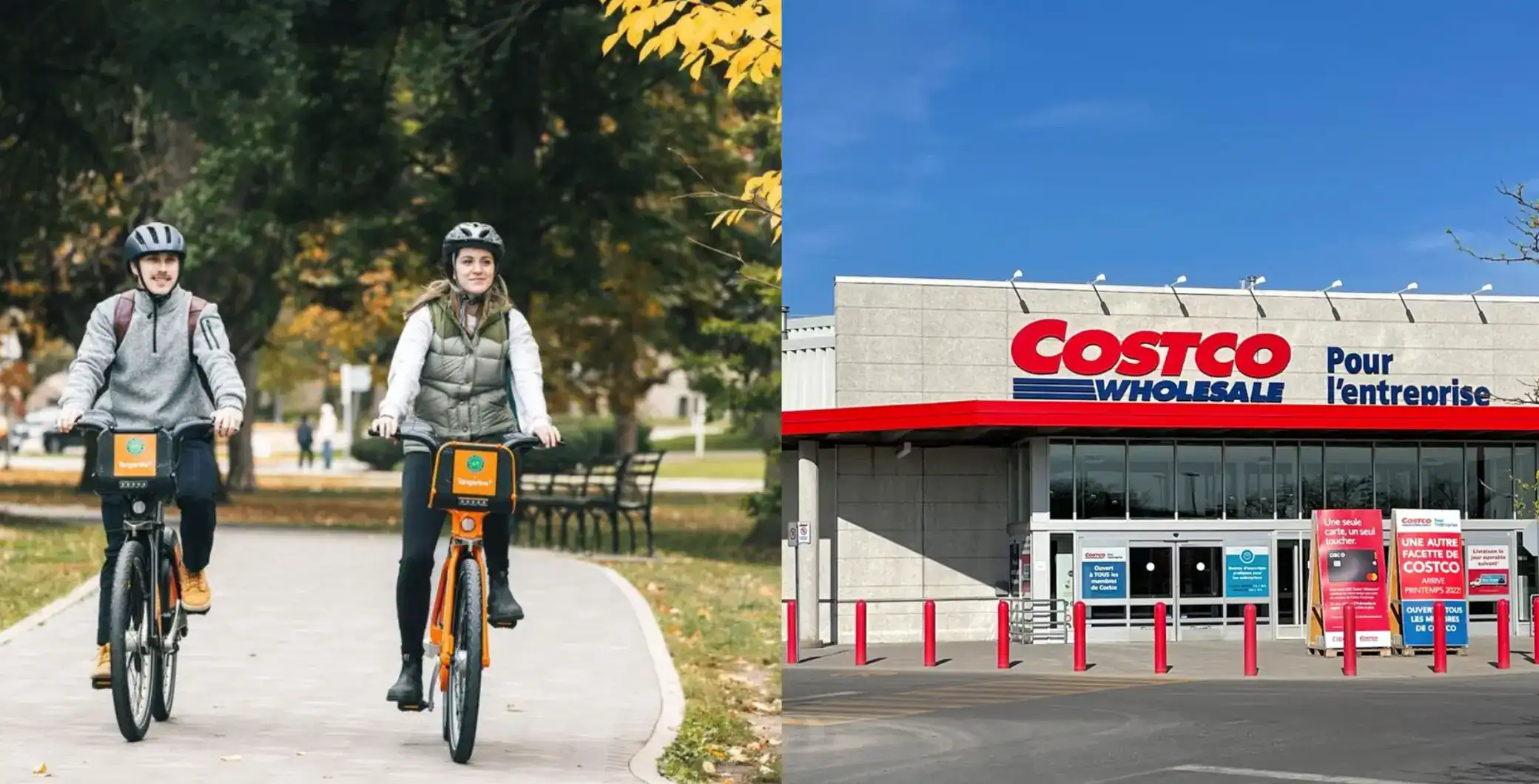 The most worthwhile memberships in Toronto, according to locals
