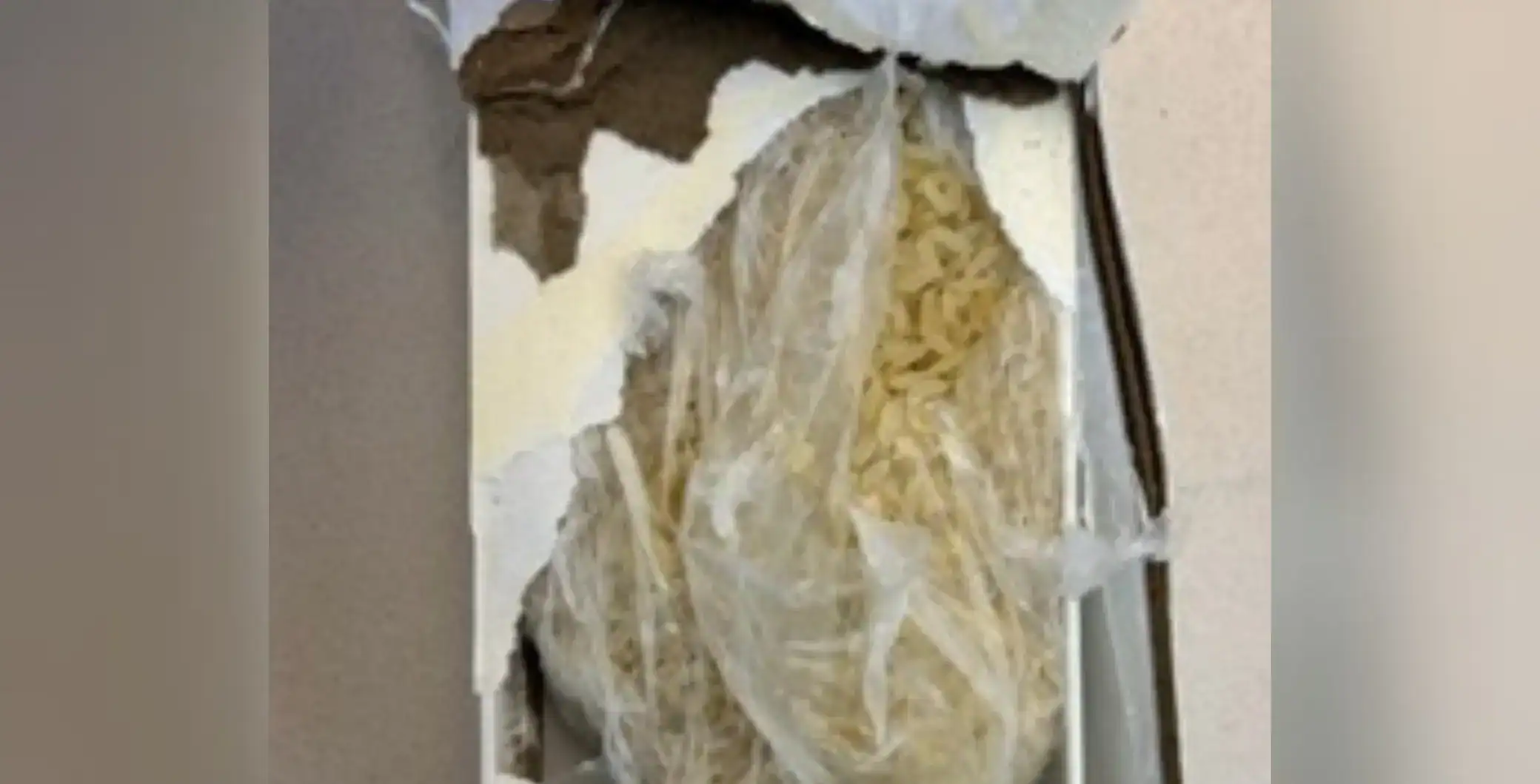 Toronto police arrest 2 men in Project Paper Bag: An online scam where ...