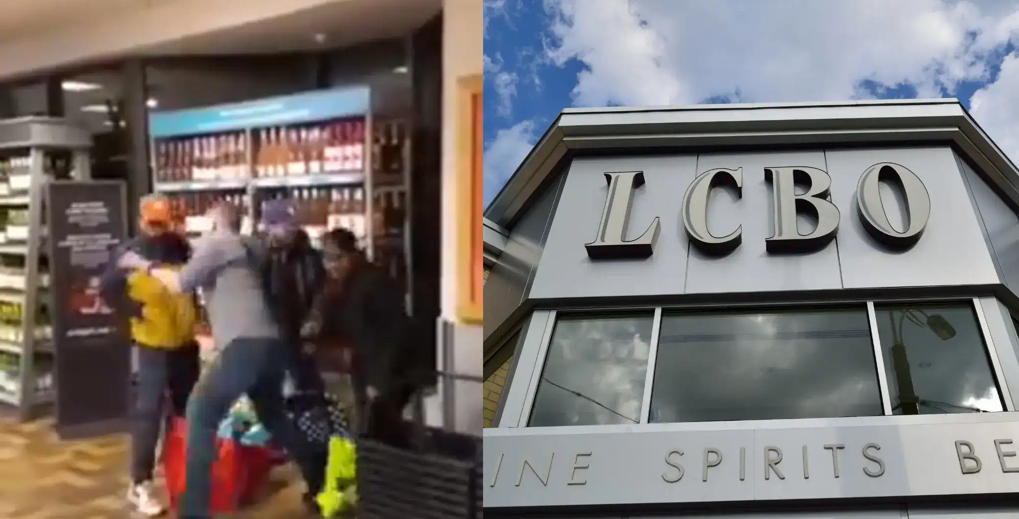 LCBO tells customers not to confront shoplifters after fight caught on ...