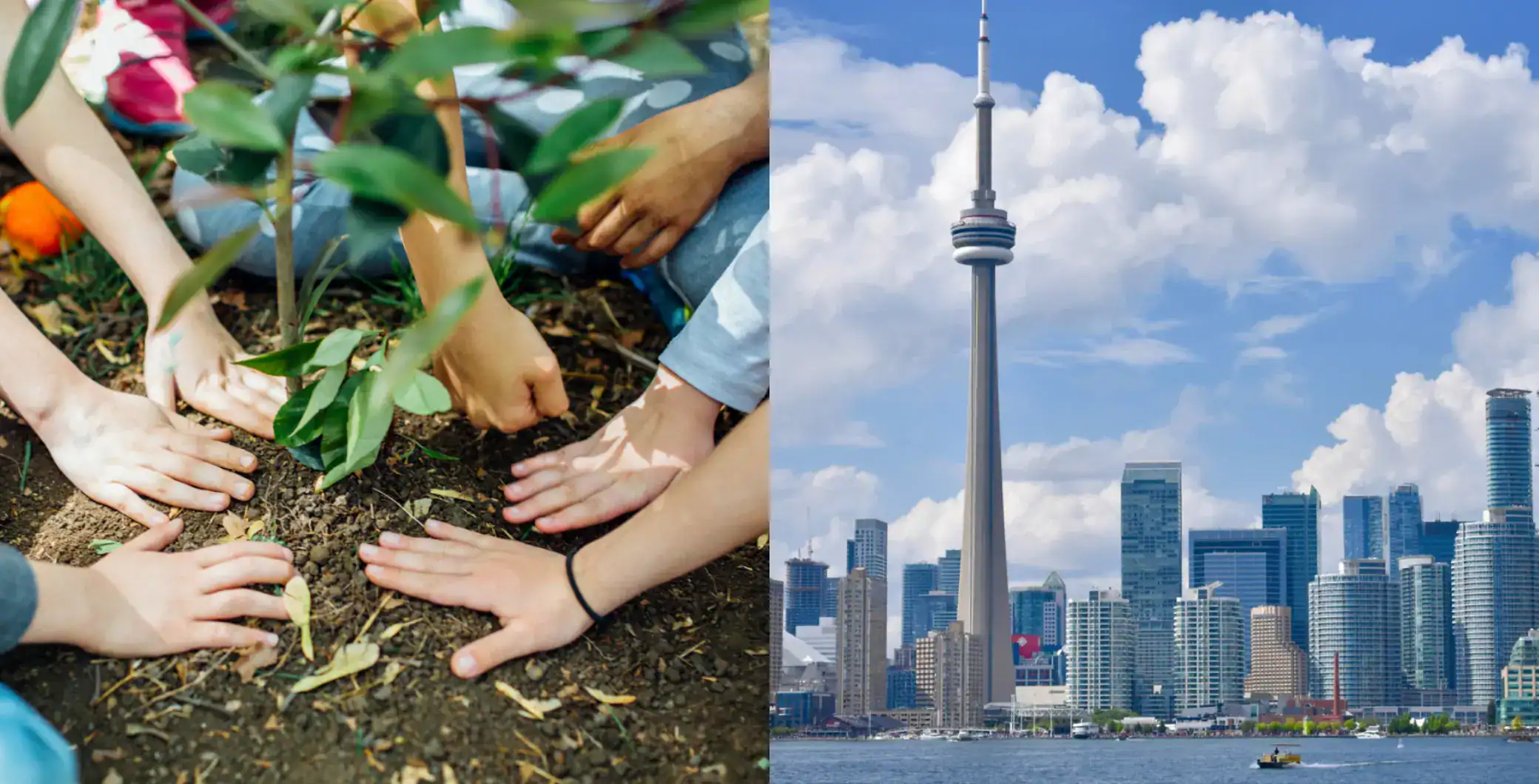 Earth Month is here! Join Toronto’s efforts to take care of the planet