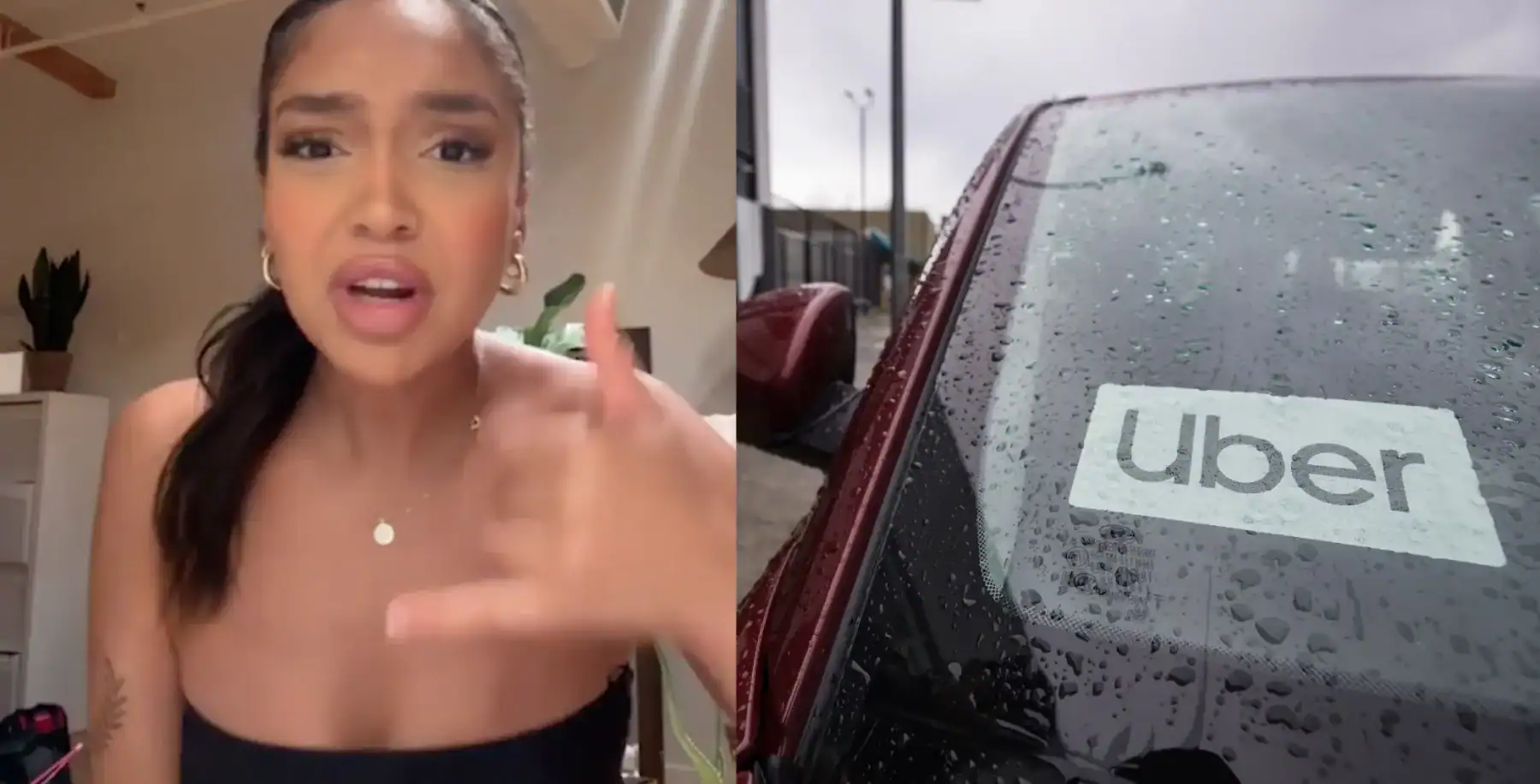 ‘More will die soon,’ 2 belugas passed away at Marineland – whistleblower says the attraction ...