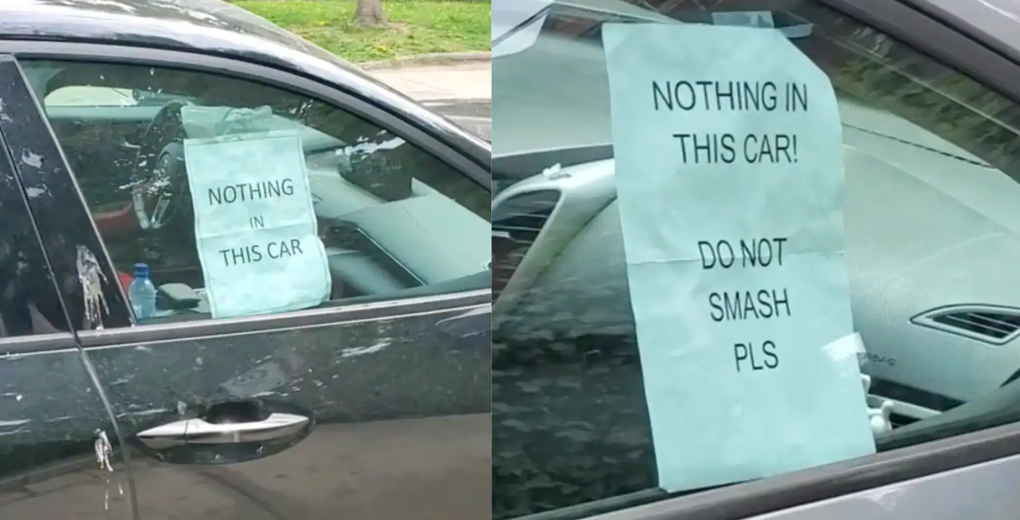 'What thief is going to believe this?’ Some Toronto drivers are trying ...