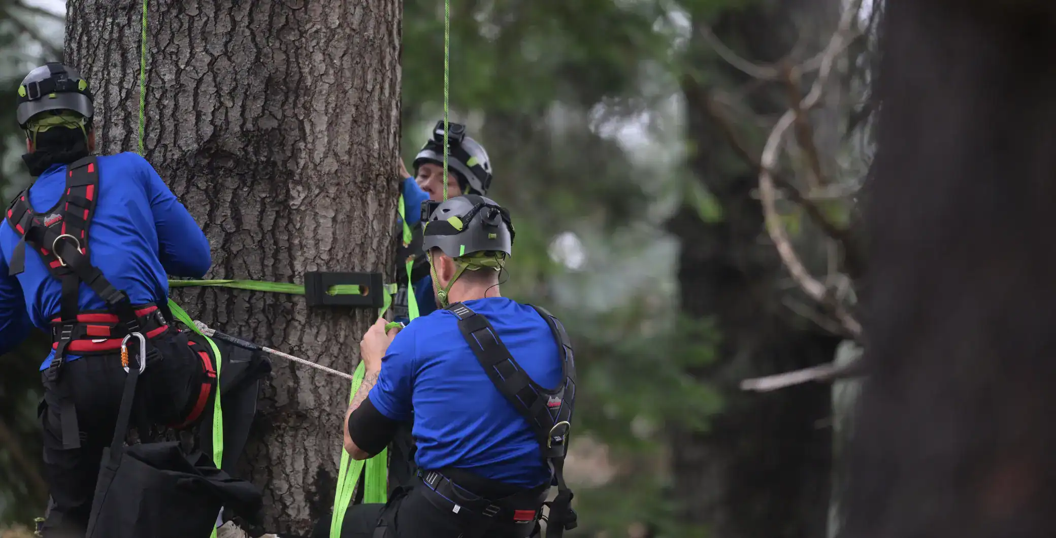 A mountain bike relay, a daring tree climb and an epic obstacle course ...