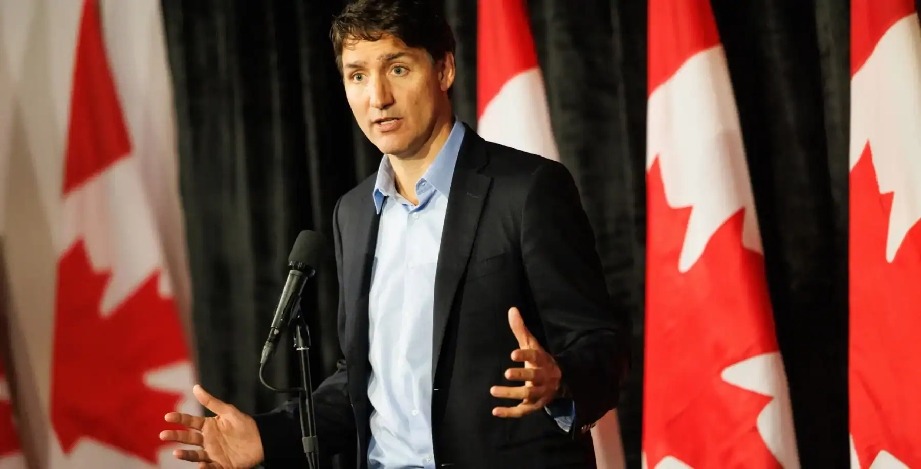 Five things to expect at the new MOCA - NOW Magazine