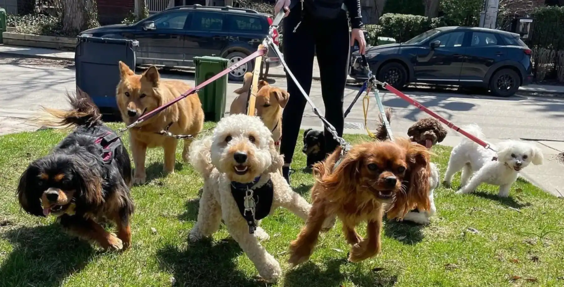 Five things to expect at the new MOCA - NOW Magazine