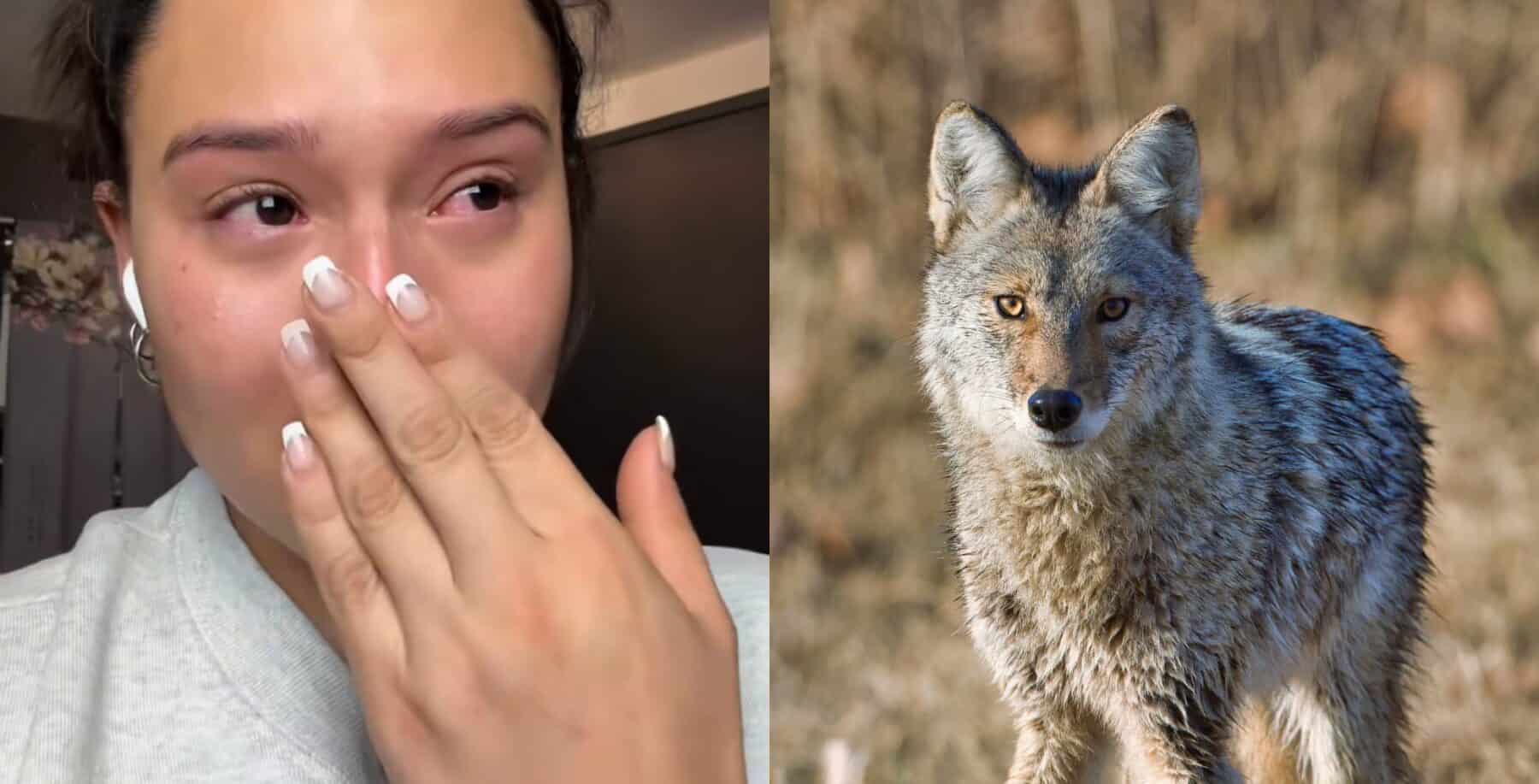 Five things to expect at the new MOCA - NOW Magazine