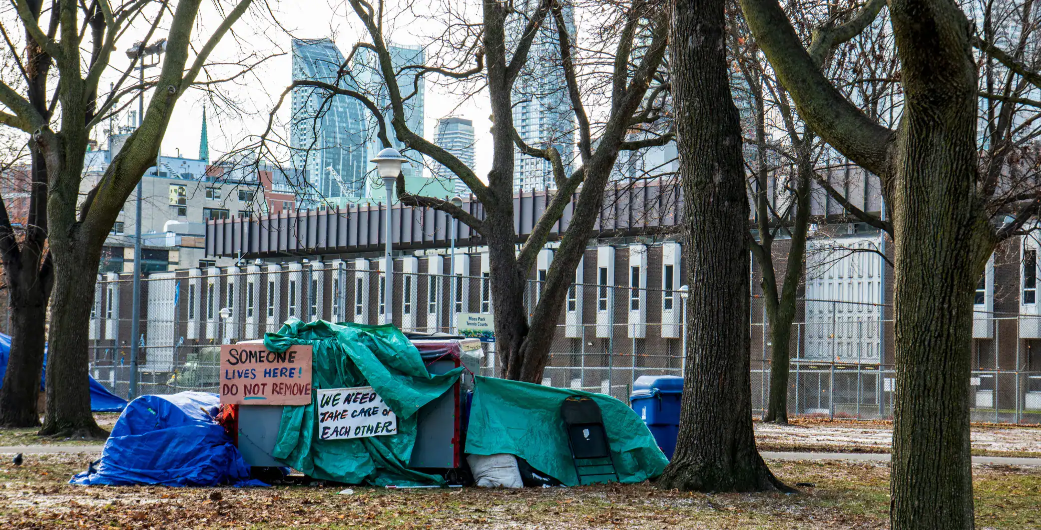 ‘The findings are unsurprising,’ Unhoused Canadians are dying an ...