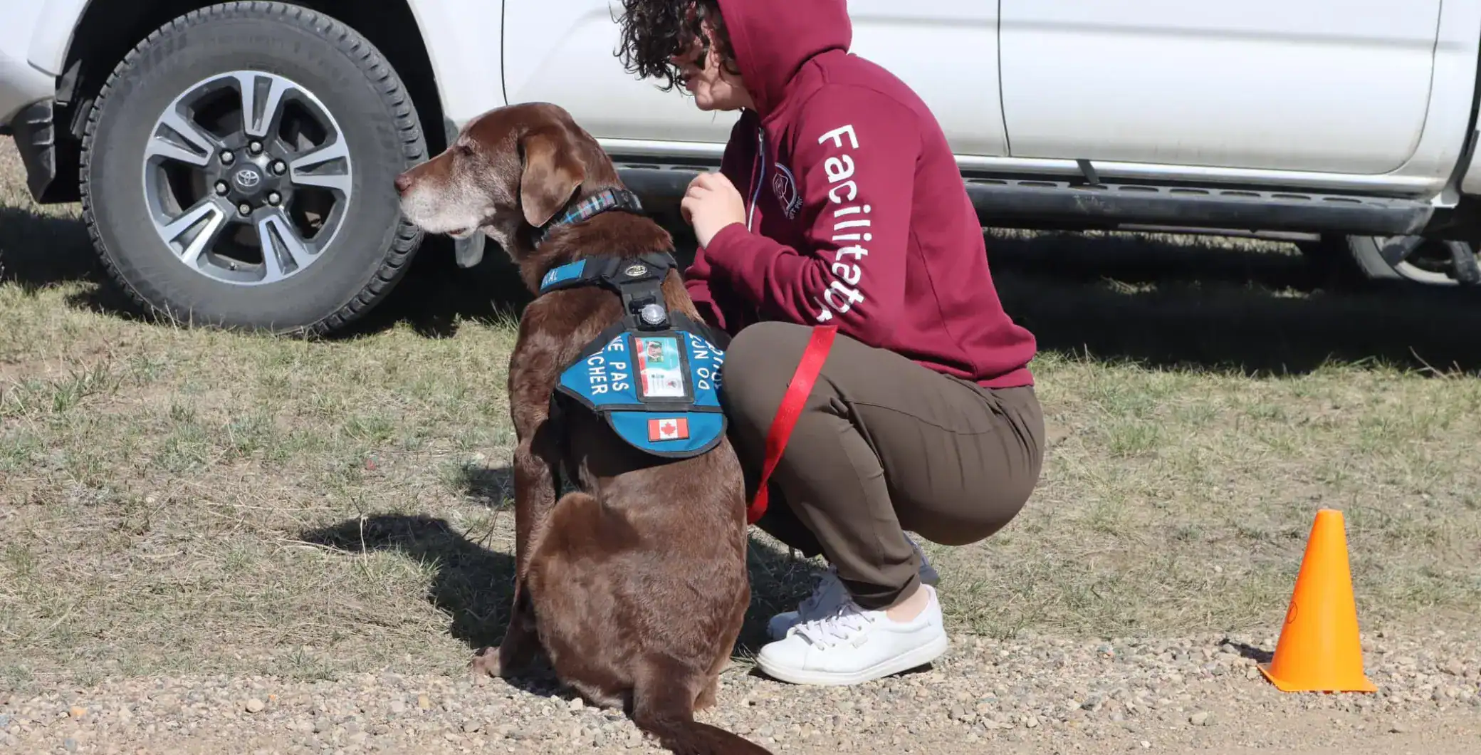More animal assisted-programs in Ontario prisons could be ...