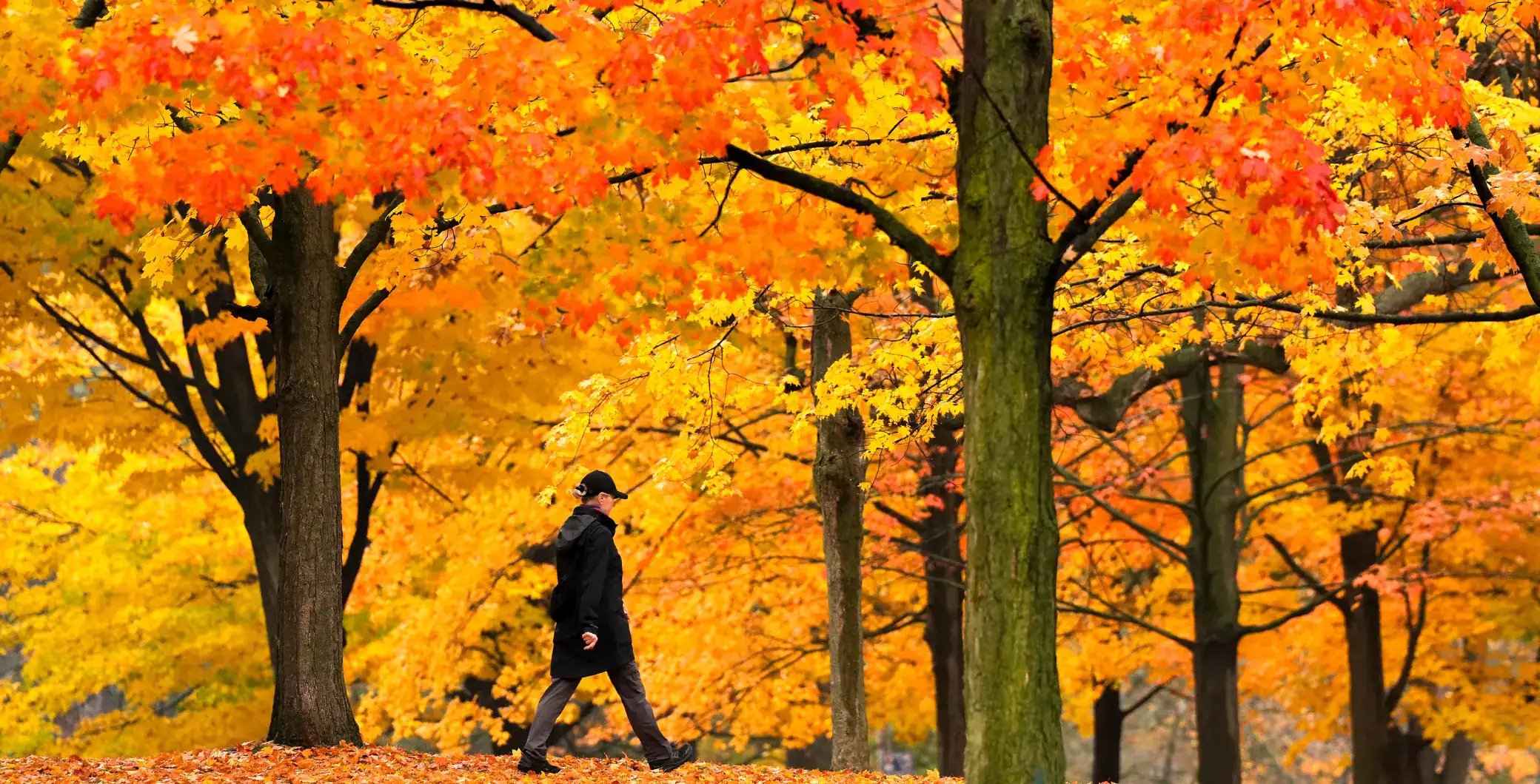 Unseasonably warm Toronto weather set to continue