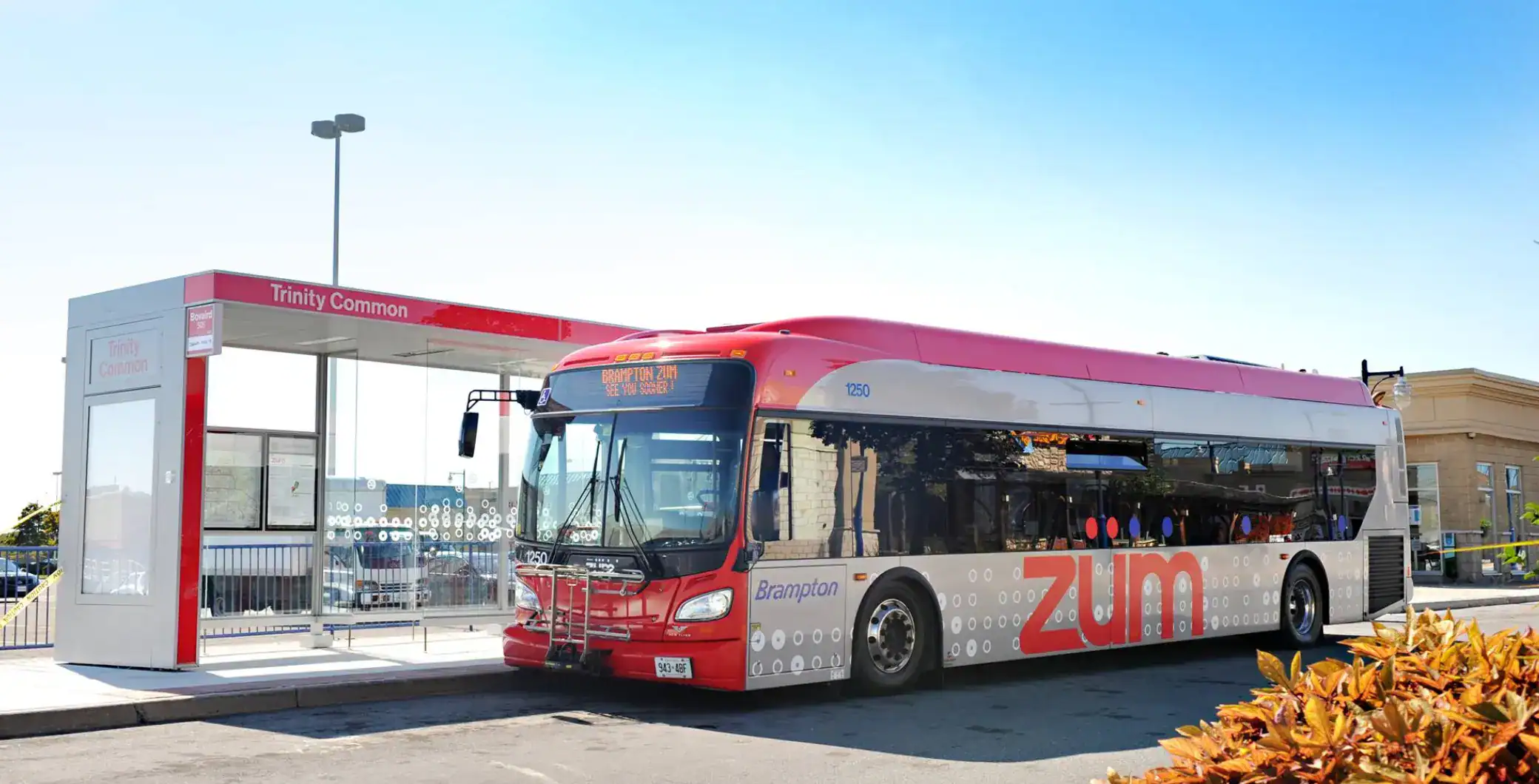 Brampton Transit buses now running on all routes as labour strike ...