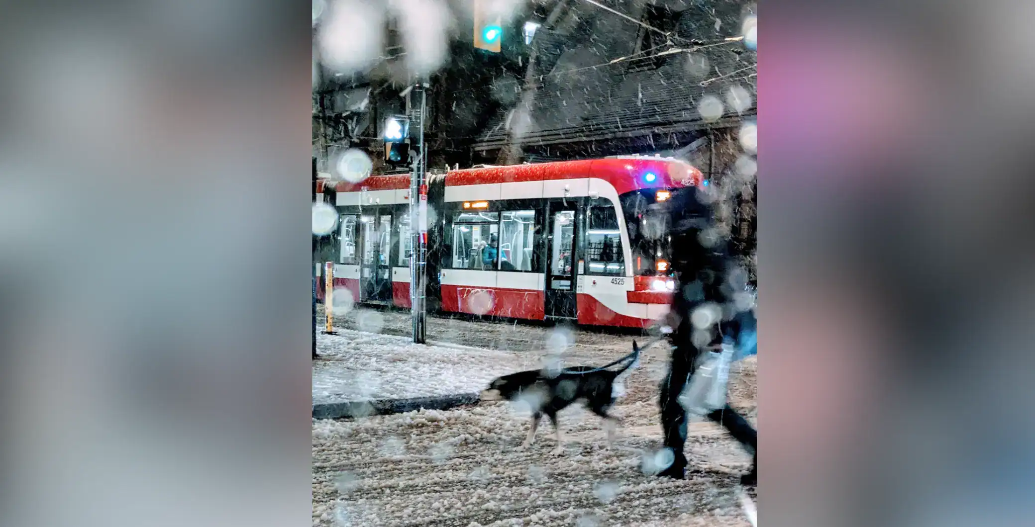 TTC provides service update as snow storm rolls through Toronto
