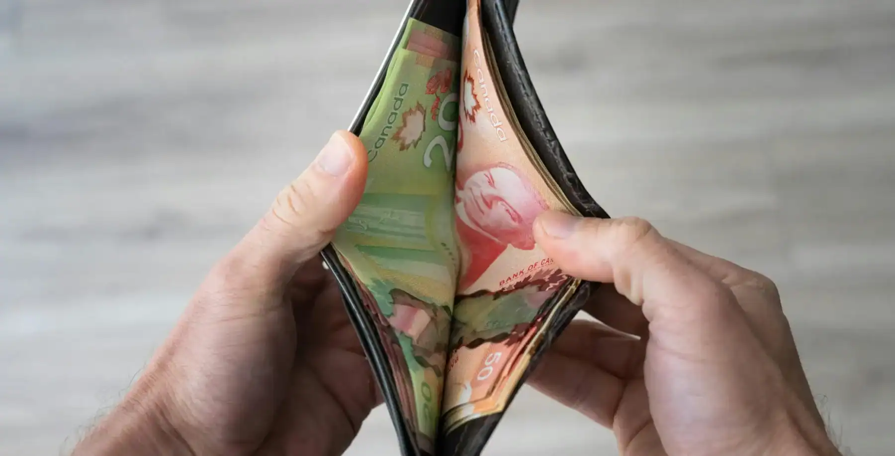 Ontario Science Centre moving to temporary locations at Sherway Gardens ...