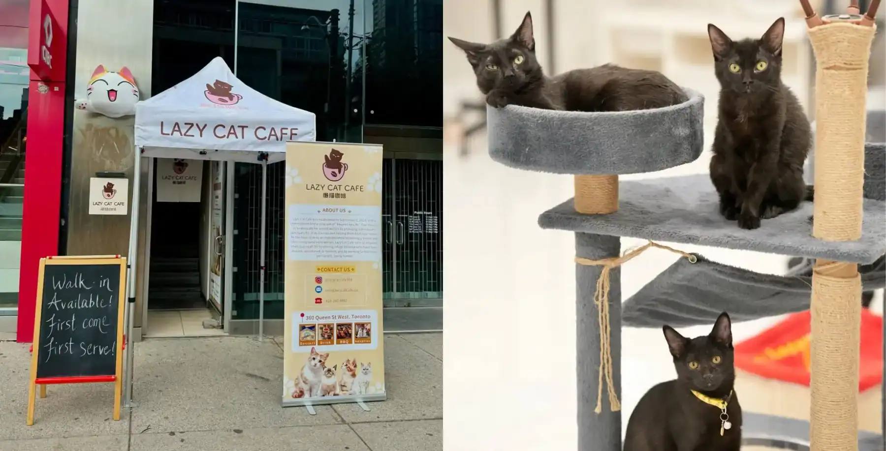 Indigenous singer Rebecca Strong is the $1M winner of ‘Canada’s Got ...