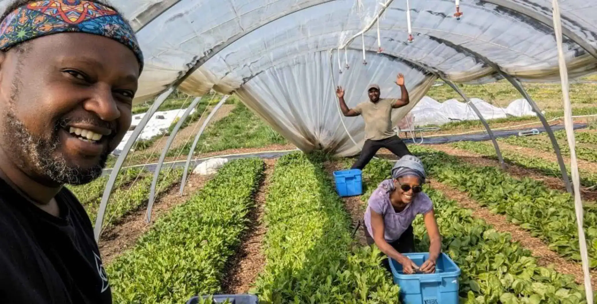 How Toronto’s Black farmers are tackling the city’s food crisis, one ...