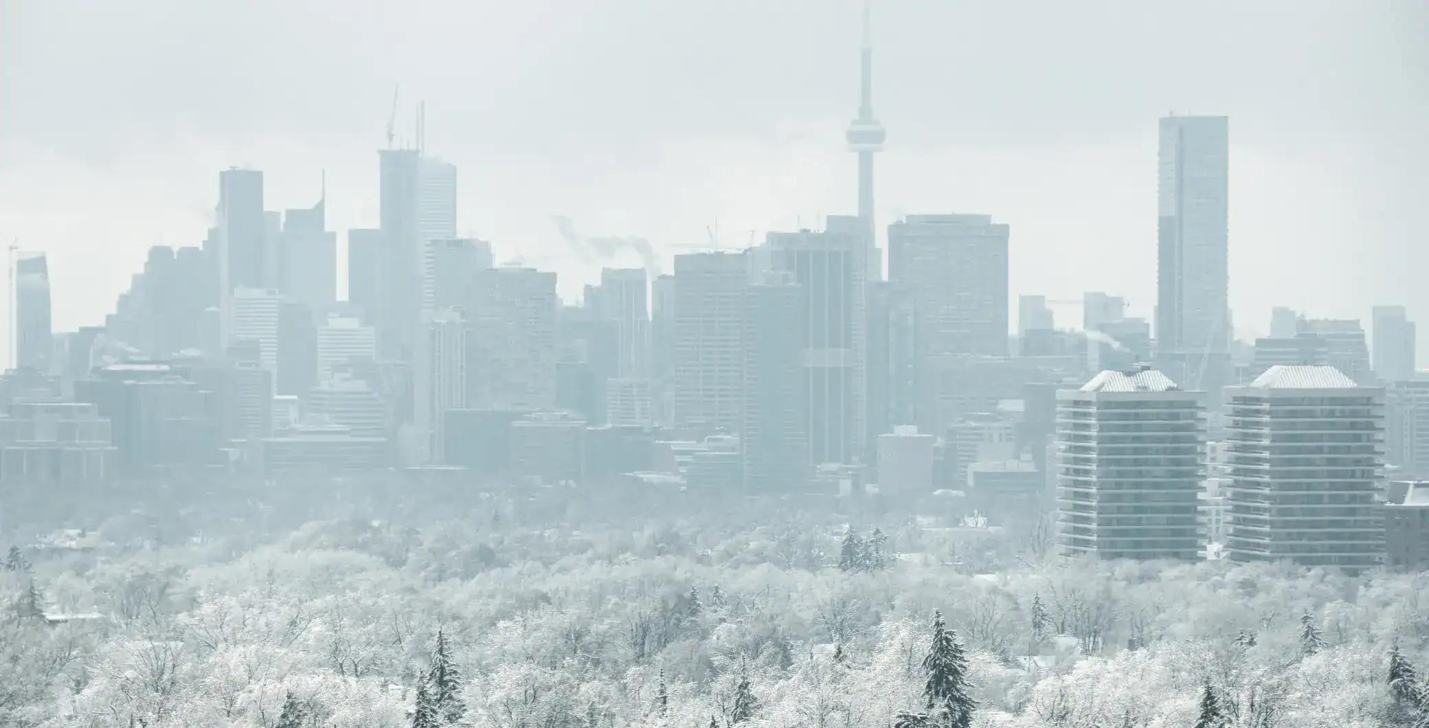 Toronto weather advisory: Up to 15 cm of snow expected this weekend ...