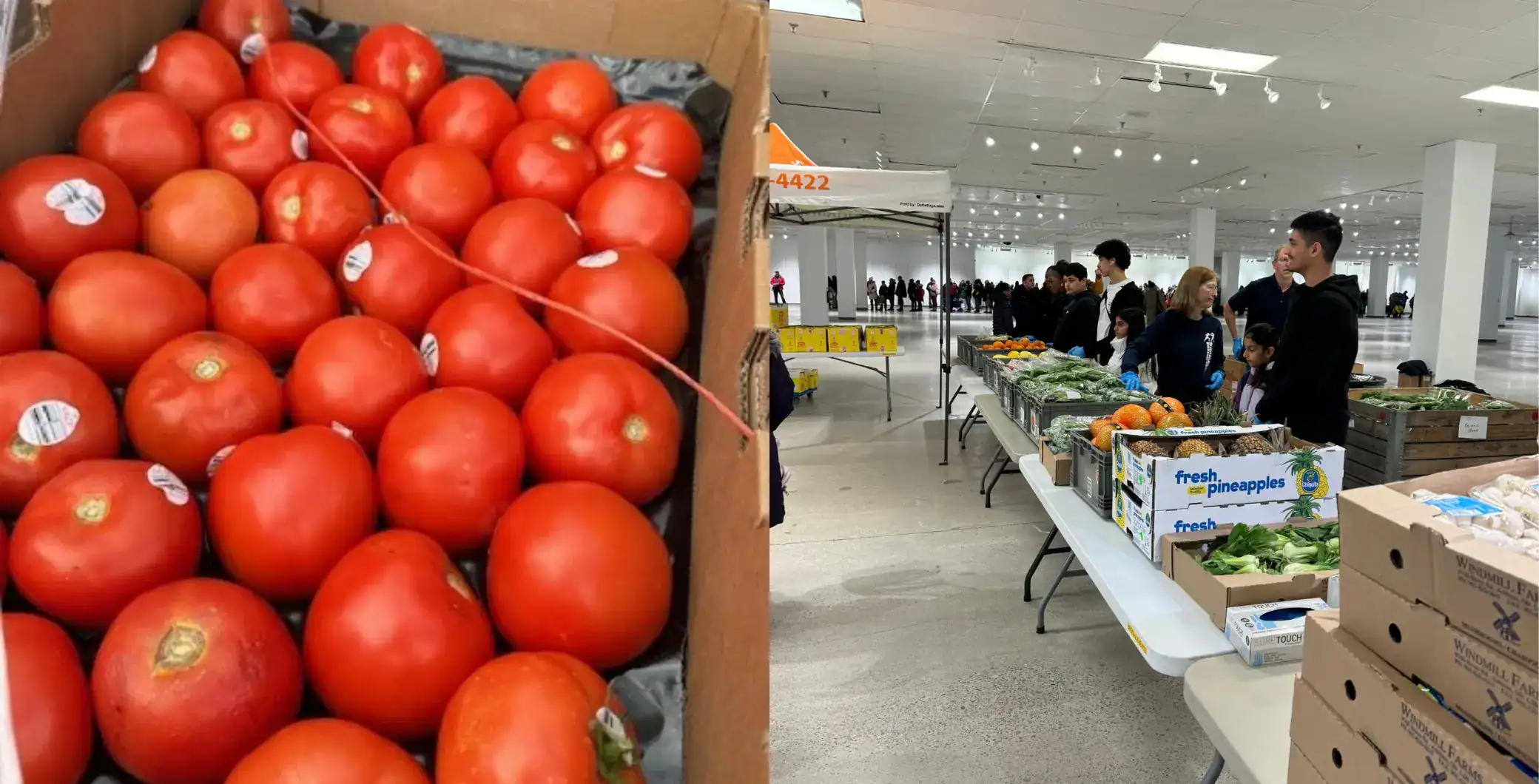 How a Brampton initiative is fighting food insecurity with fresh ...