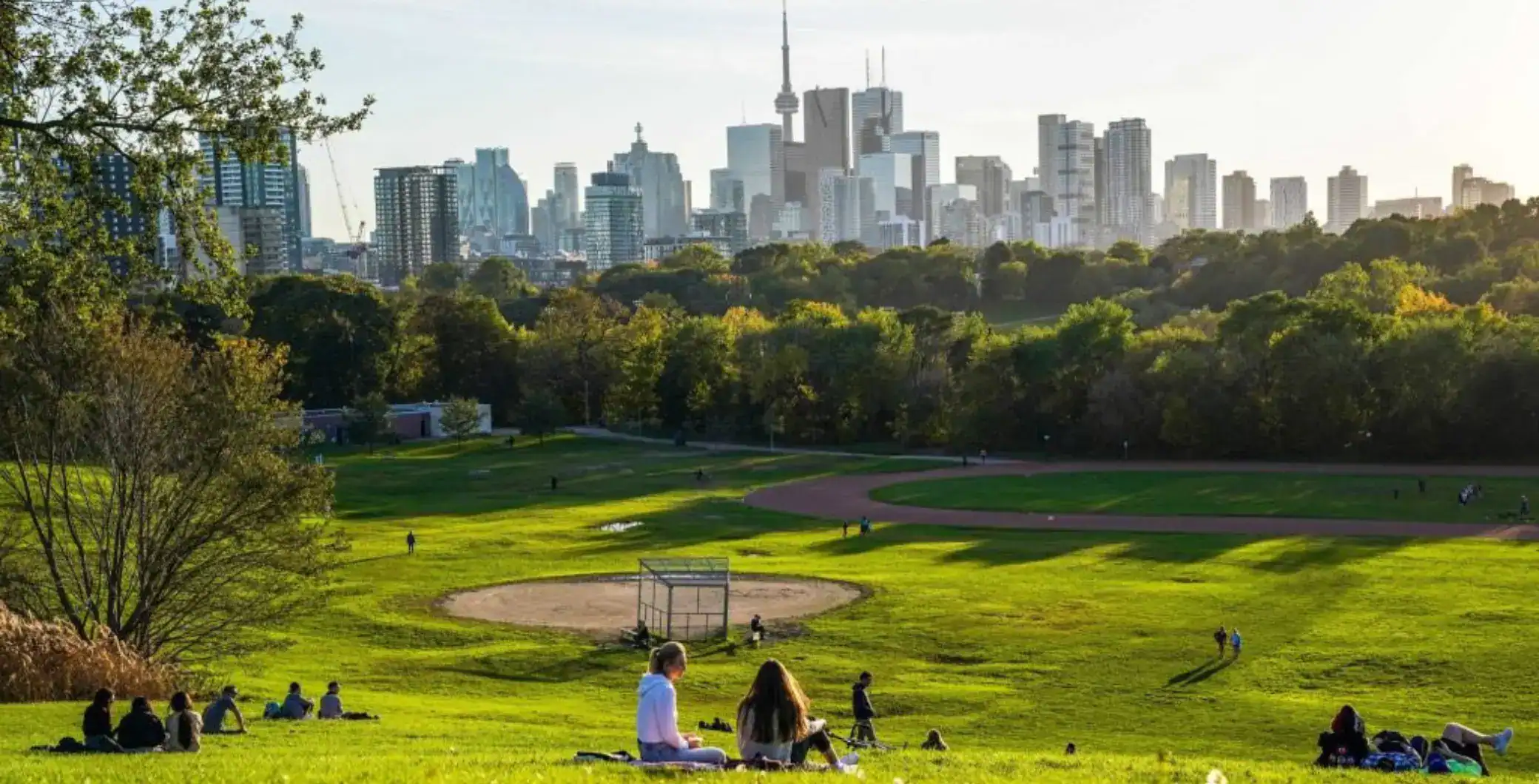 Is it time for some Toronto park rules to touch grass? City considers ...