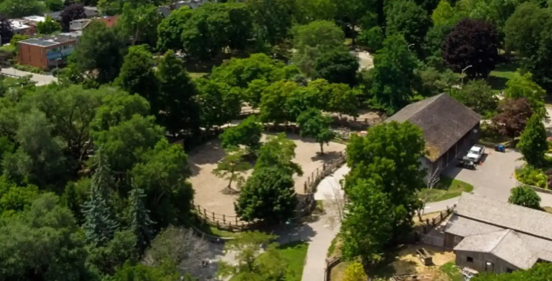 Top 5 Downtown Toronto Fruit Markets - NOW Magazine